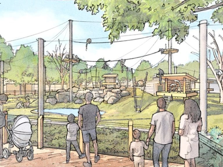 Project Zoo: Wildly Reimagined – Little Rock Zoo