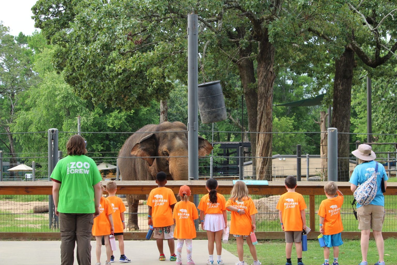 Zoofari Camp – Little Rock Zoo