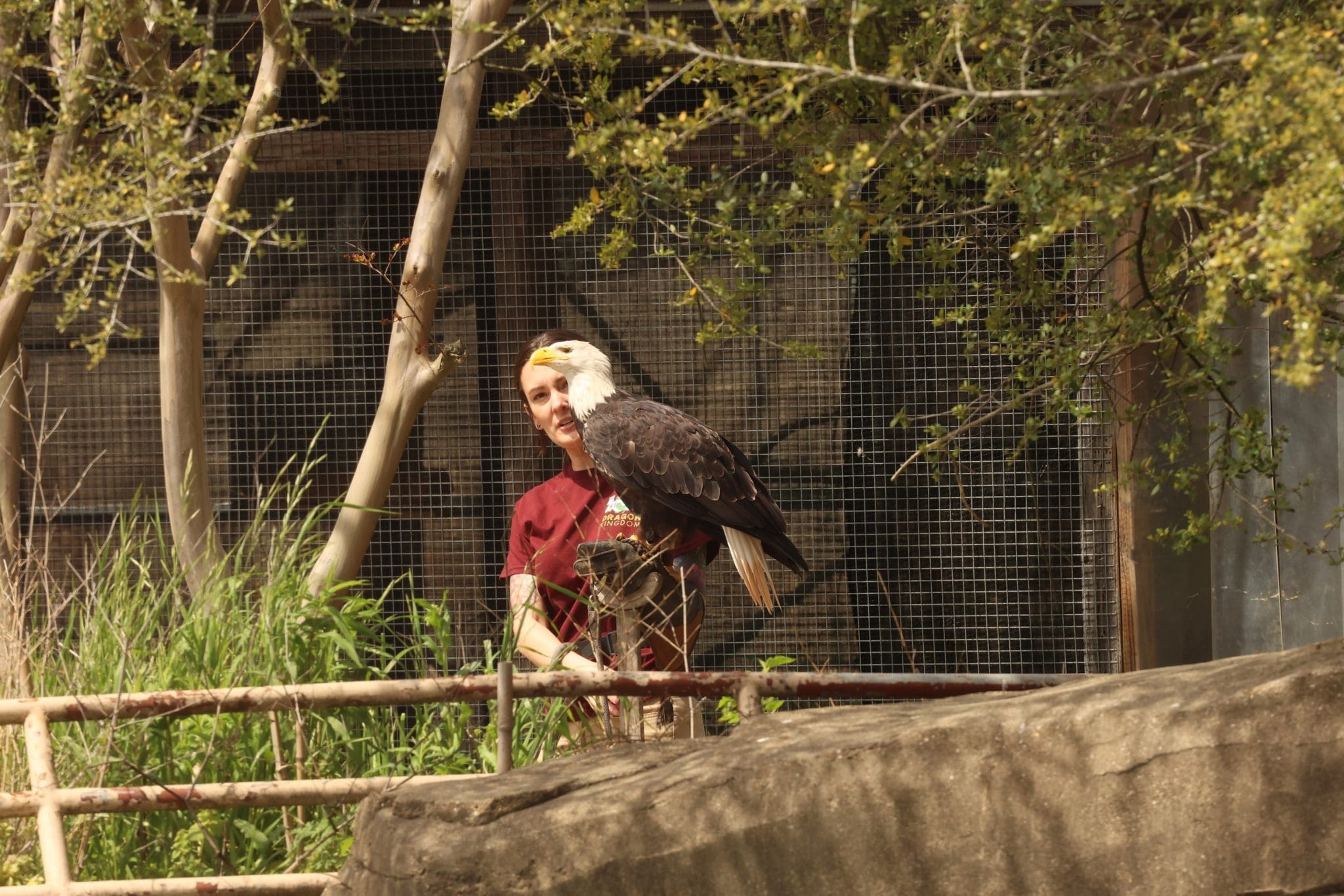 More Than Just a Job: What It Takes to Be a Zookeeper – Little Rock Zoo